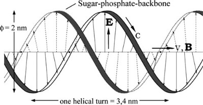 Intensive Care For You - Scalar Waves